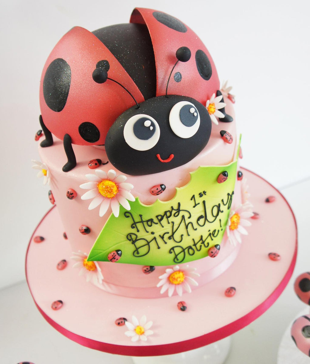 Ladybird Cake – Tuck Box Cakes